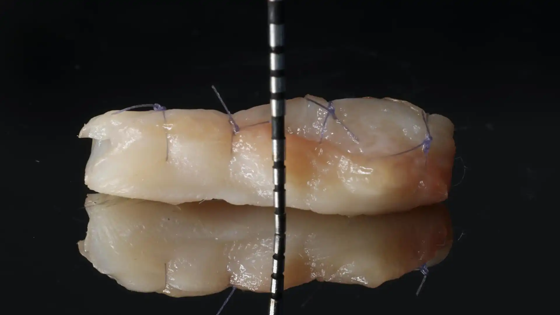 The connective tissue graft. Indications and harvesting considerations